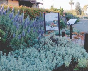 Central Basin Municipal Water District Provides Recycled and Imported ...
