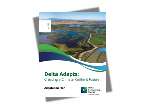 Delta Stewardship Council Adaptation Plan Underscores Urgency of ...